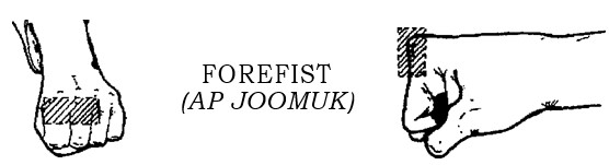 Striking And Blocking-Hand - Kildare Taekwondo